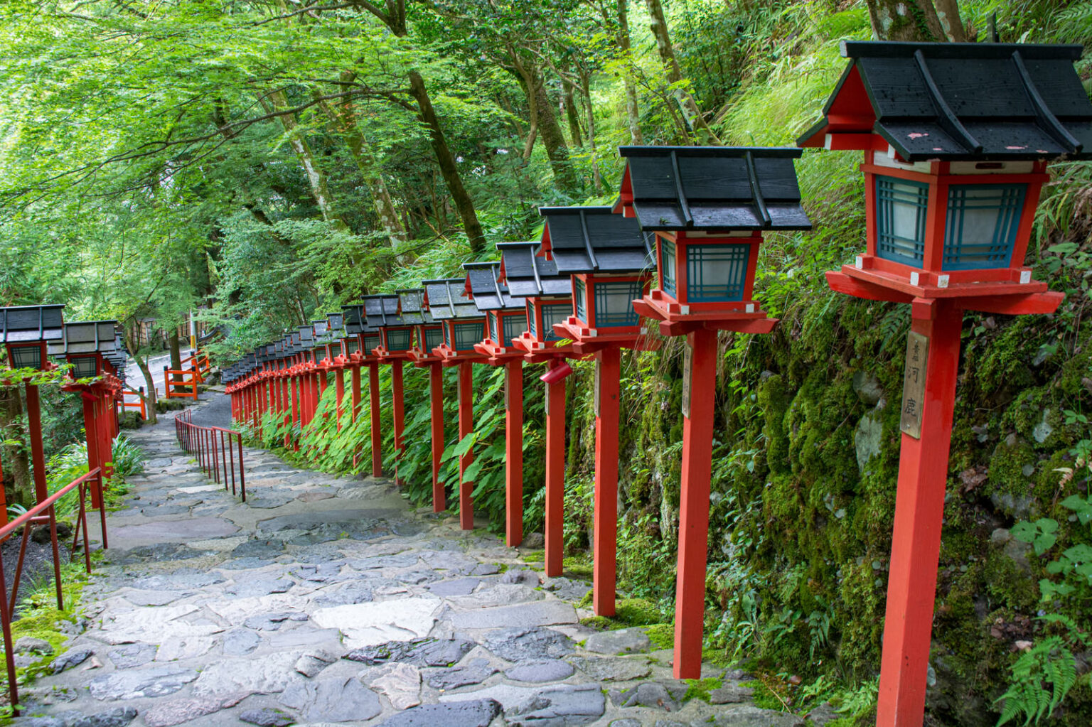 Autumn Motorcycle Touring from Kyoto - Book Now! - Kyoto Bike Travel